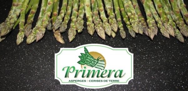 La saison des asperges 2017 est terminée – Asperges Primera