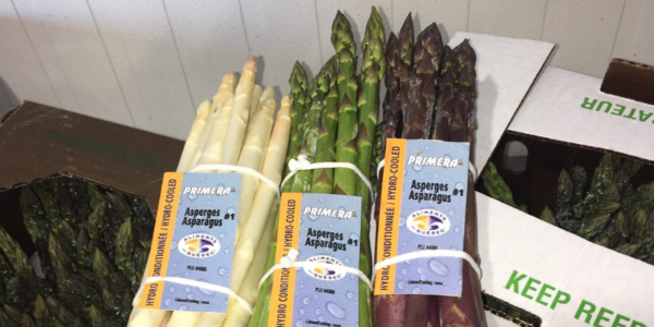 Savez-vous la valeur nutritive de l’asperge ? – Asperges Primera