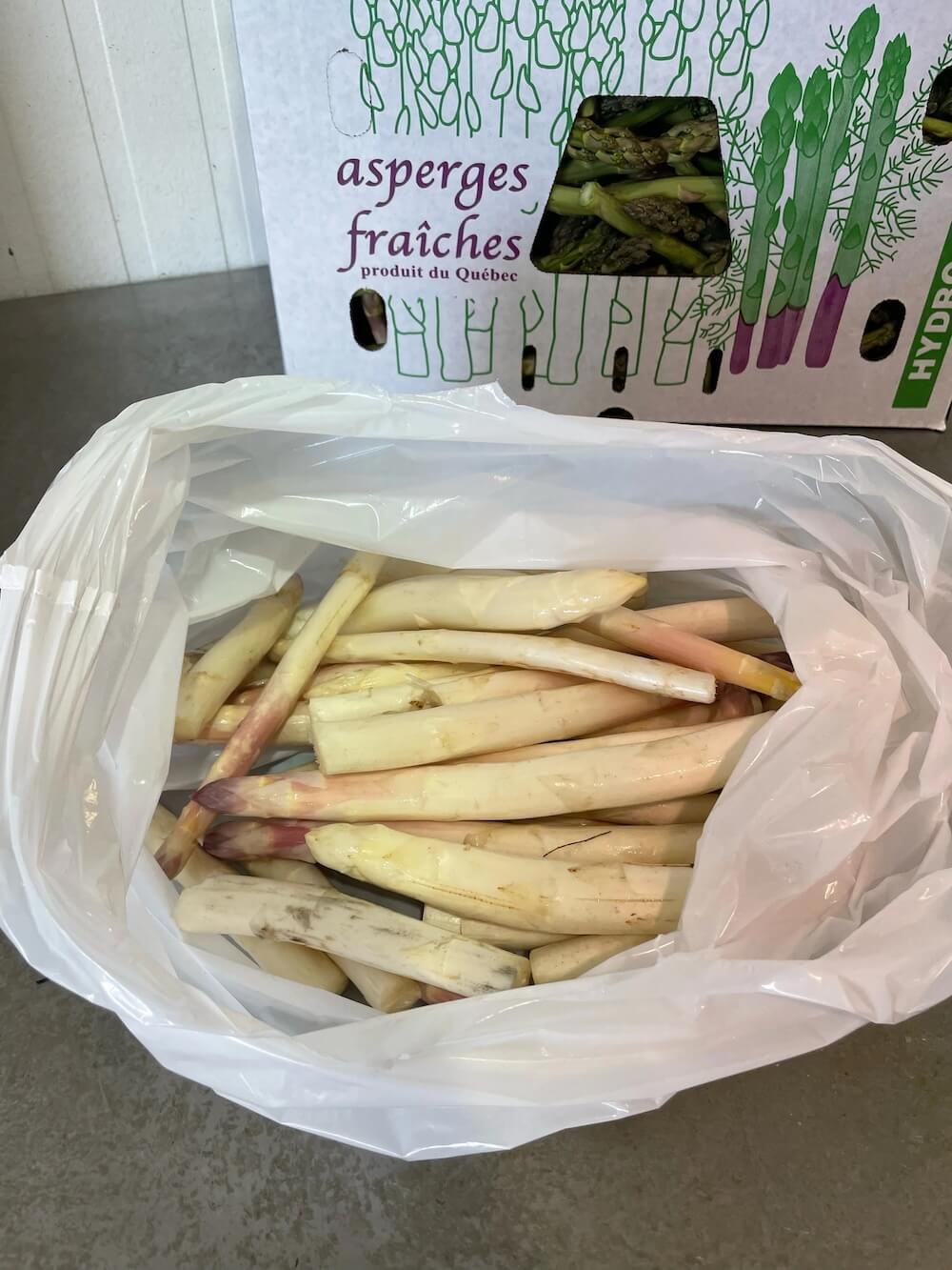 Asperges blanches déclassées (2 livres) – Asperges Primera